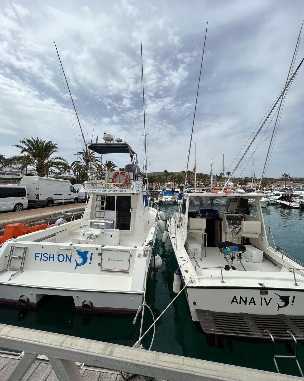 Power catamaran Cata 356 Sportfisherman Fish on for rent - Spain ...